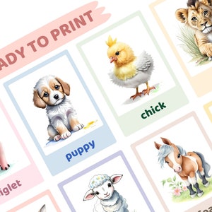 24 BABY ANIMAL Flashcards for Kids | Printable Flashcards, Montessori ...