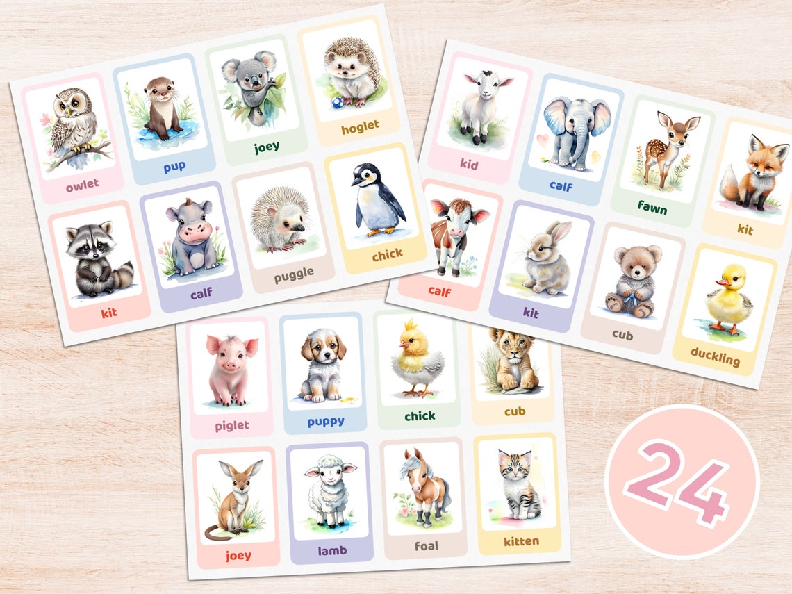 24 BABY ANIMAL Flashcards for Kids Printable Flashcards, Montessori ...
