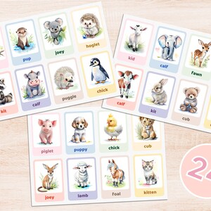 24 BABY ANIMAL Flashcards for Kids | Printable Flashcards, Montessori ...