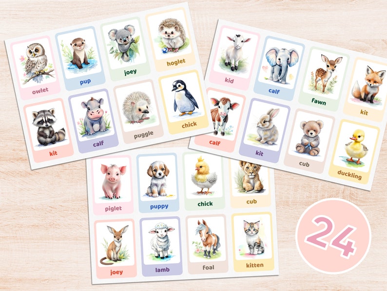 24 BABY ANIMAL Flashcards for Kids | Printable Flashcards, Montessori ...