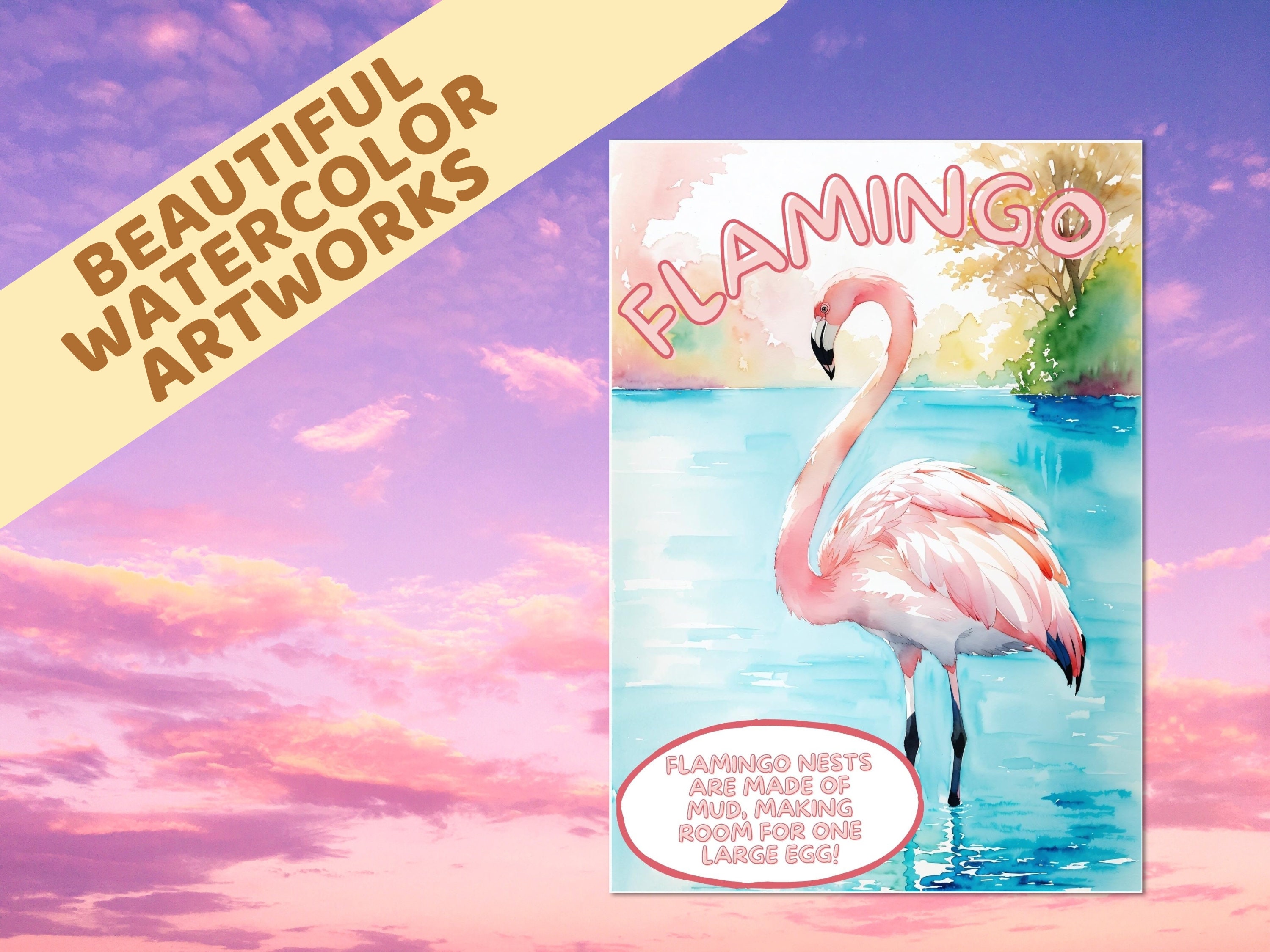 BIRD Fun Facts for Kids | Printable Booklet, Animal Learning ...