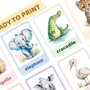 30 SAFARI ANIMAL Flashcards for Kids | Printable Flashcards, Montessori ...