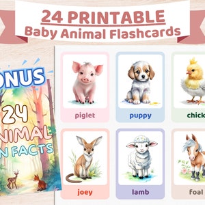 24 BABY ANIMAL Flashcards for Kids | Printable Flashcards, Montessori ...