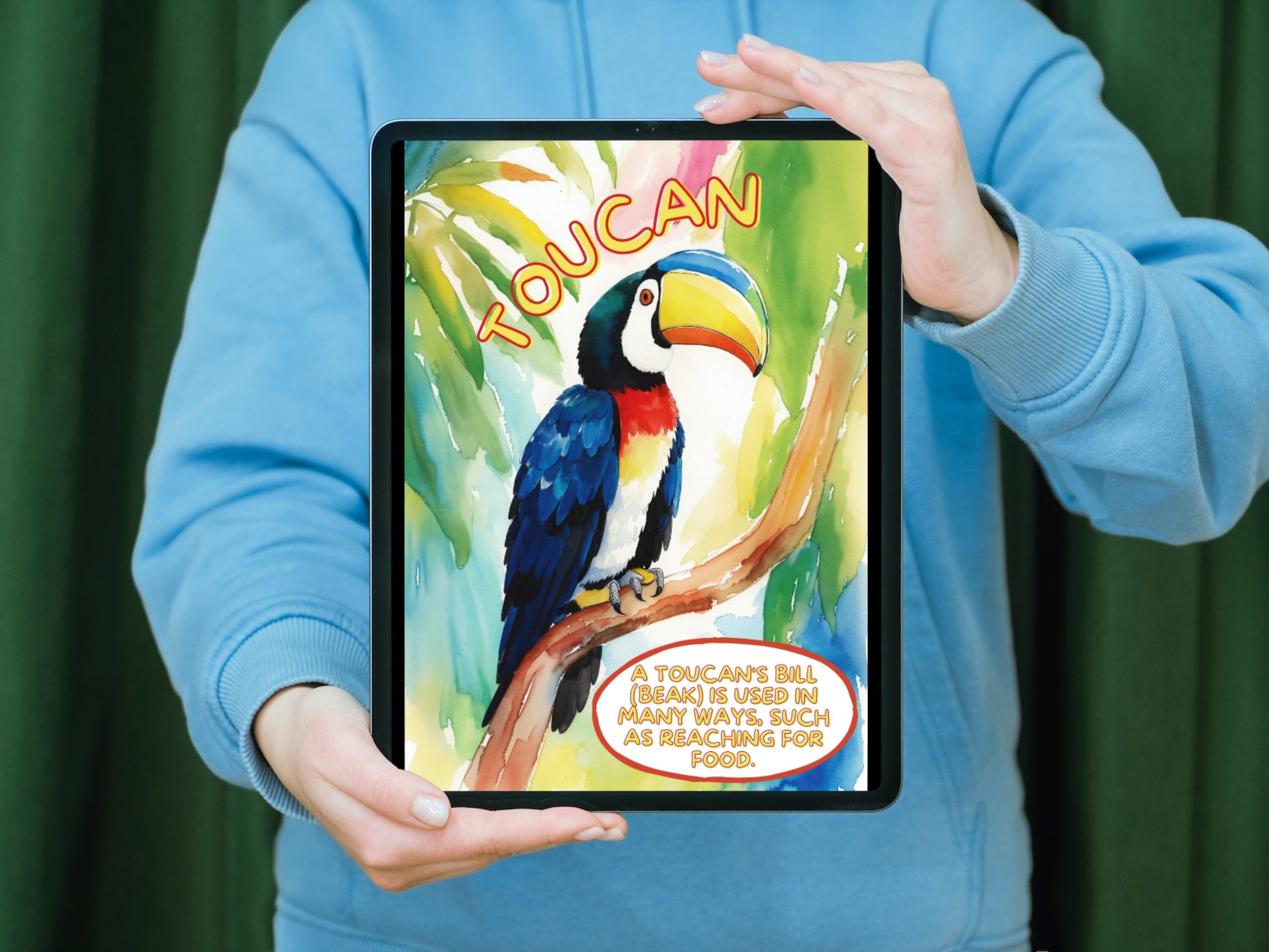 BIRD Fun Facts for Kids | Printable Booklet, Animal Learning ...