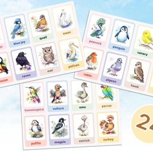 24 BIRD ANIMAL Flashcards for Kids | Printable Flashcards, Montessori ...