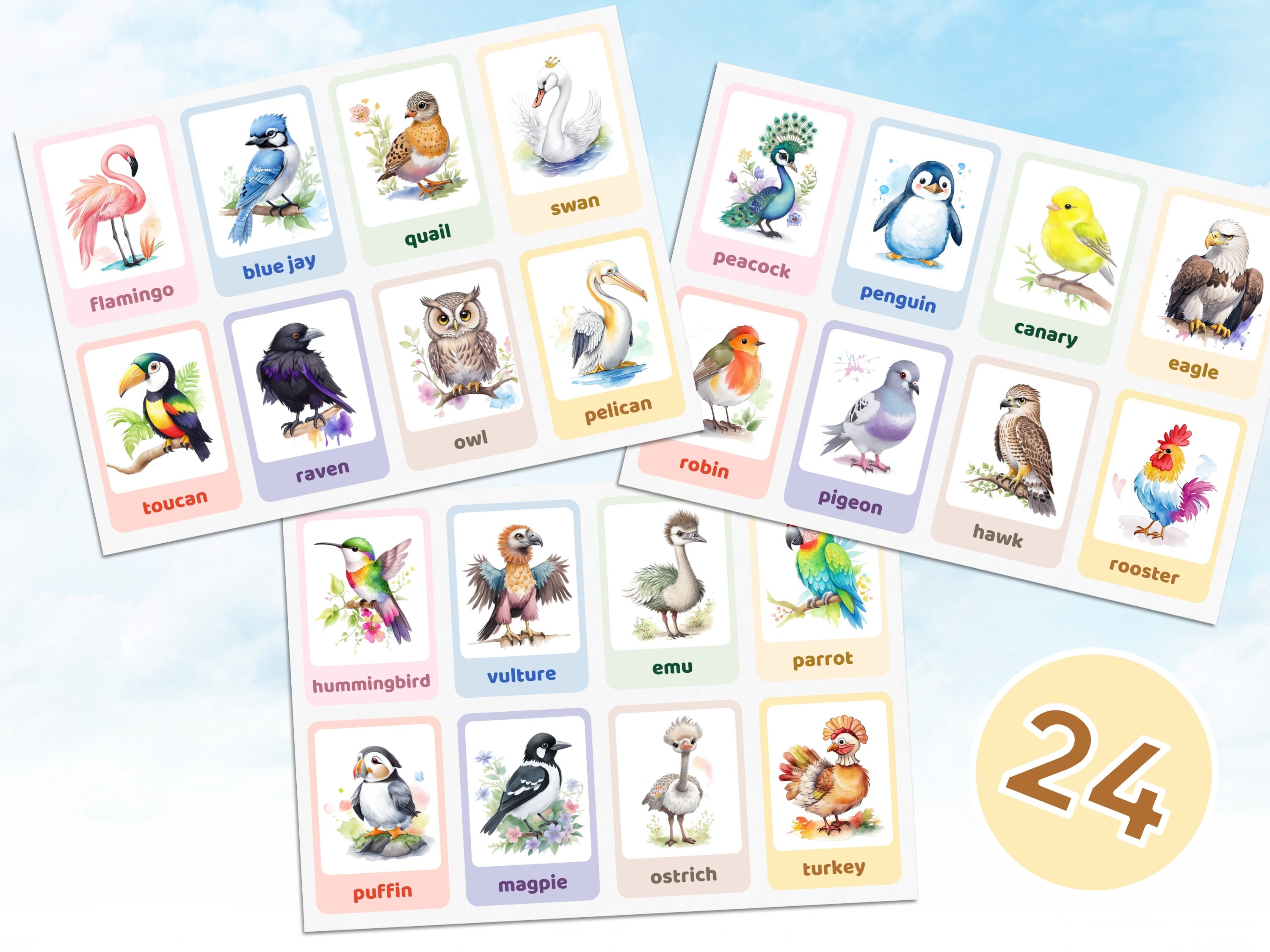 24 BIRD ANIMAL Flashcards for Kids | Printable Flashcards, Montessori ...