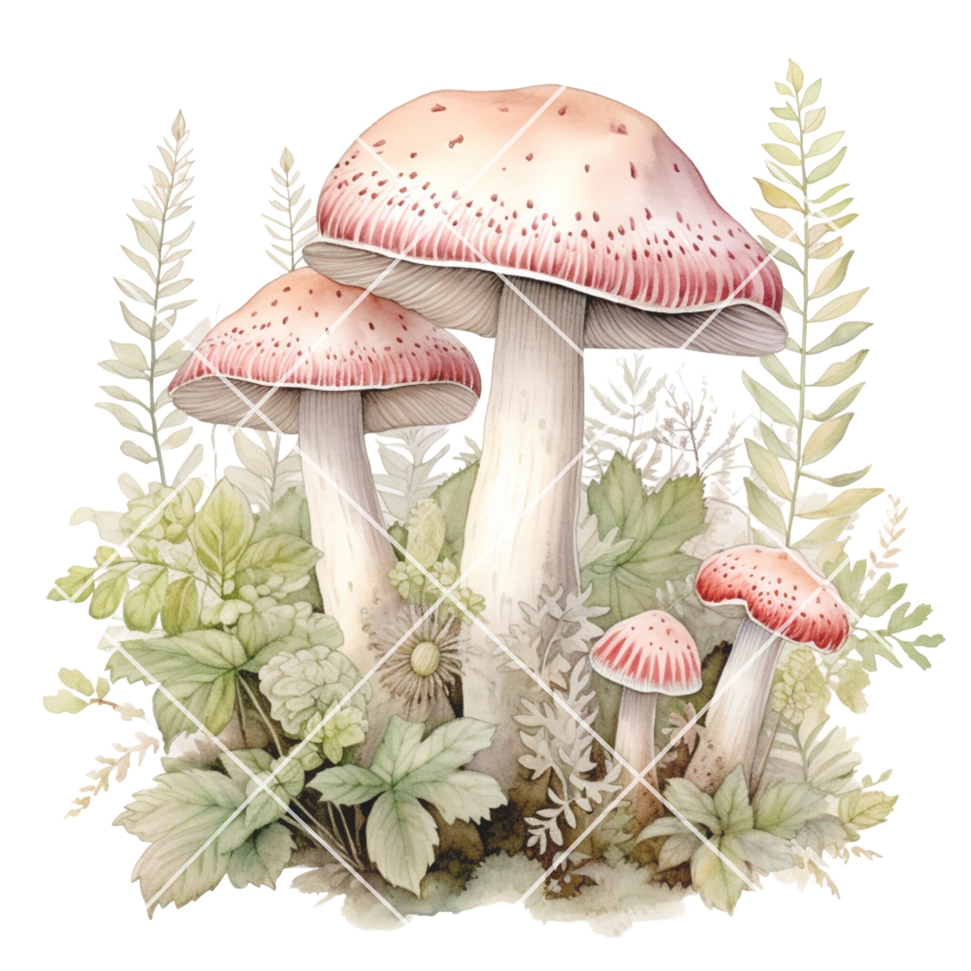 Watercolour Autumn/fall Pastel Toadstools, Jpgs, Digital Crafting ...