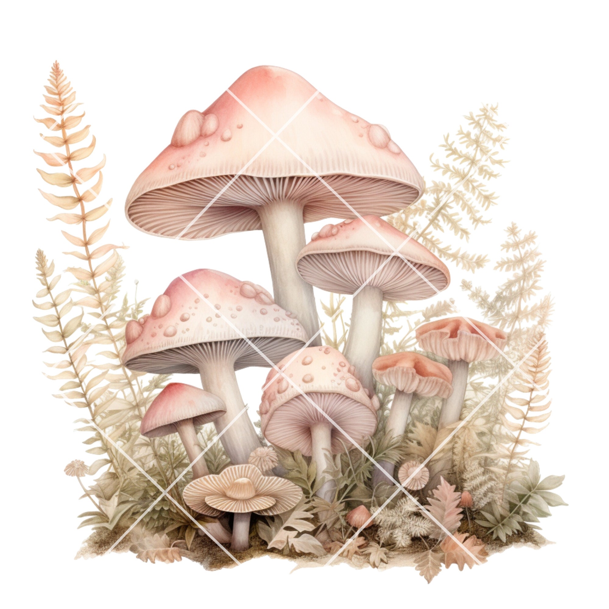Watercolour Autumn/fall Pastel Toadstools, Jpgs, Digital Crafting ...