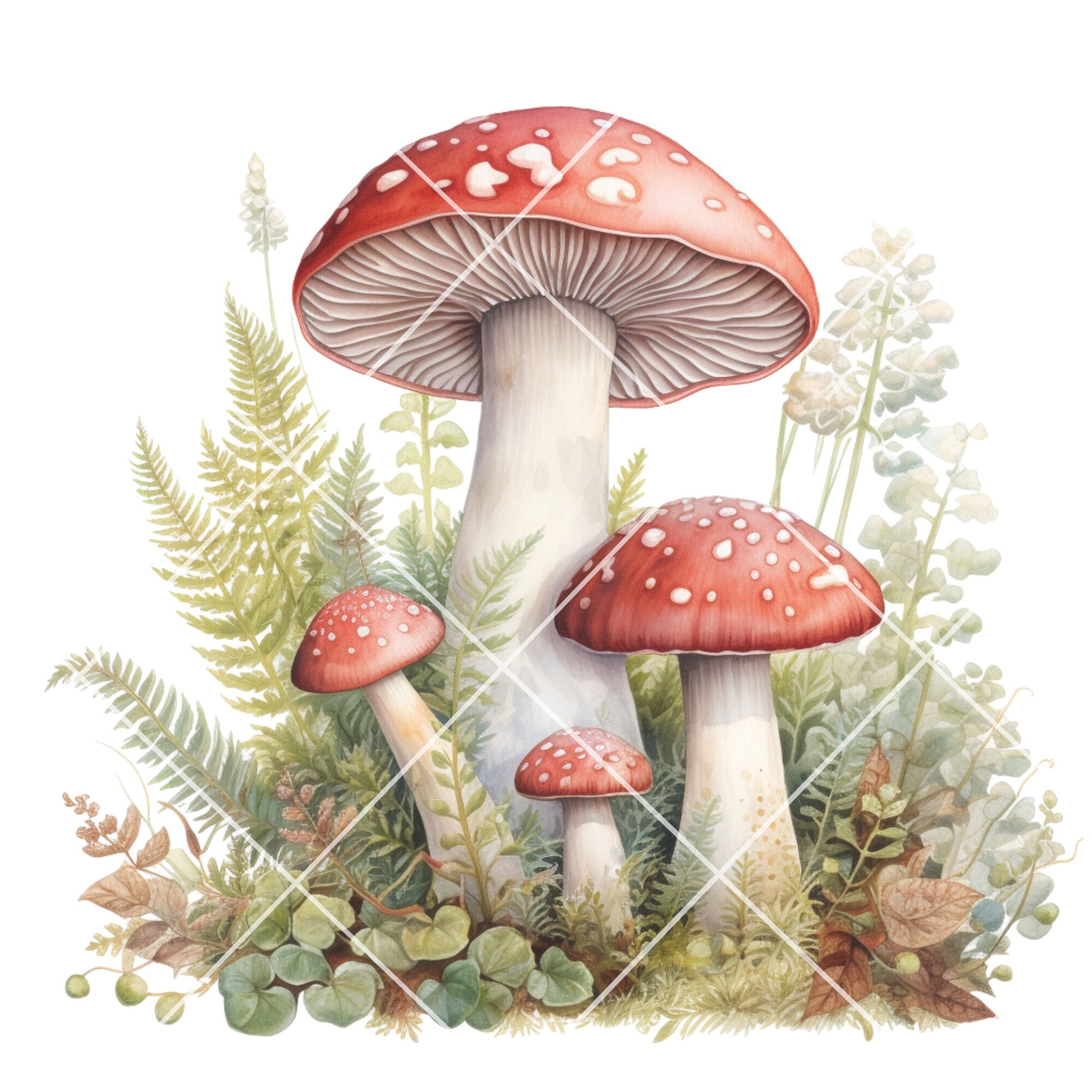 Watercolour Autumn/fall Pastel Toadstools, Jpgs, Digital Crafting ...
