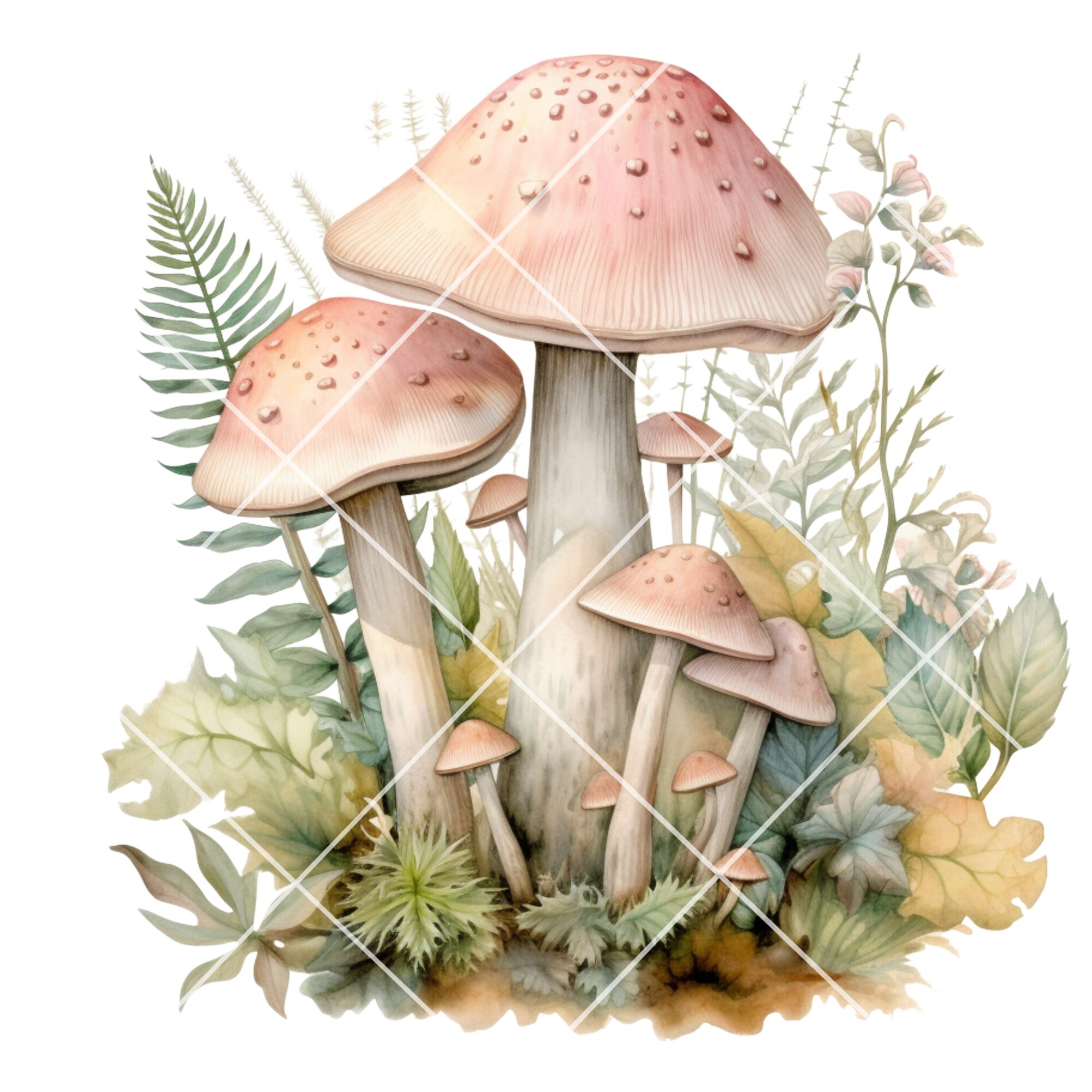 Watercolour Autumn/fall Pastel Toadstools, Jpgs, Digital Crafting ...