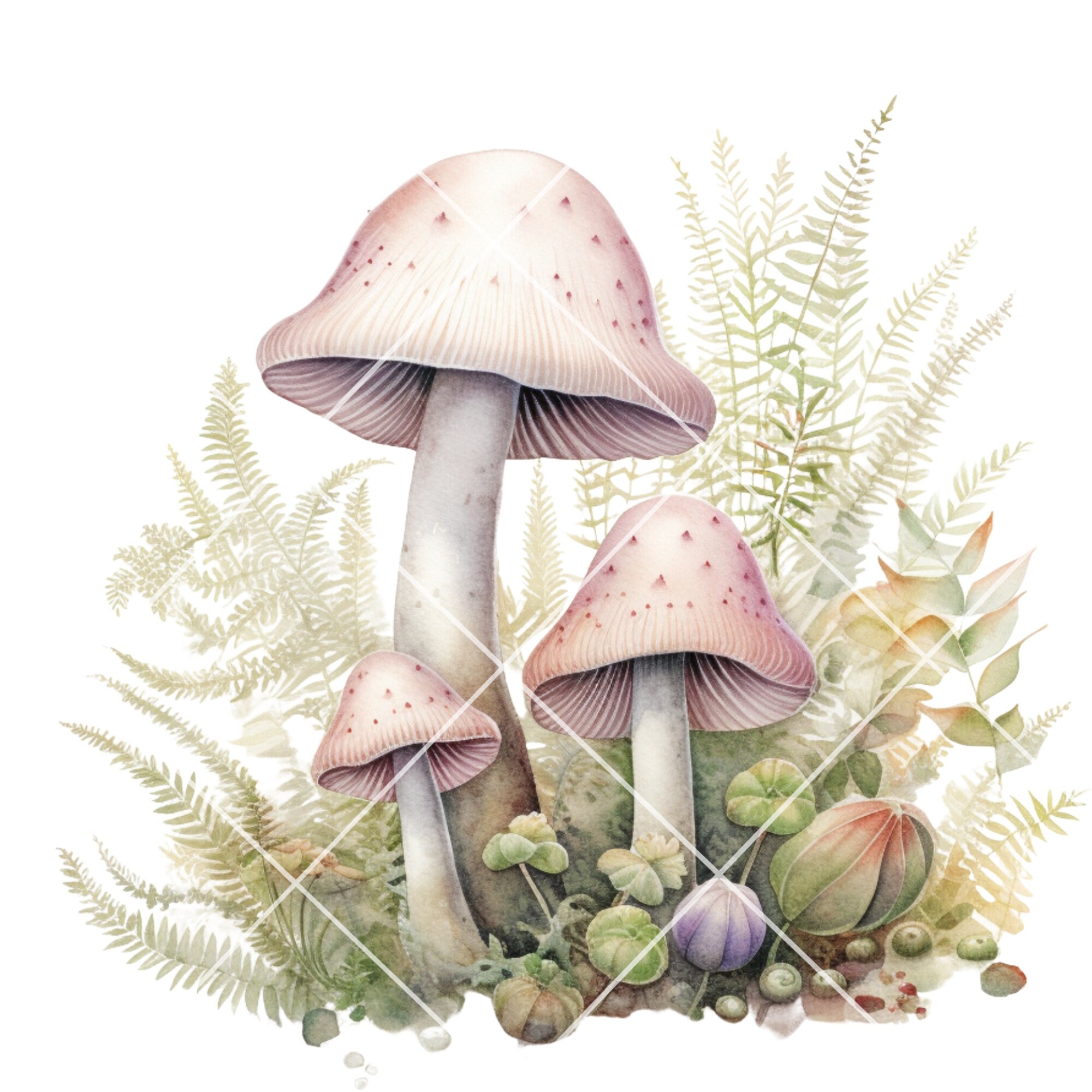 Watercolour Autumn/fall Pastel Toadstools, Jpgs, Digital Crafting ...