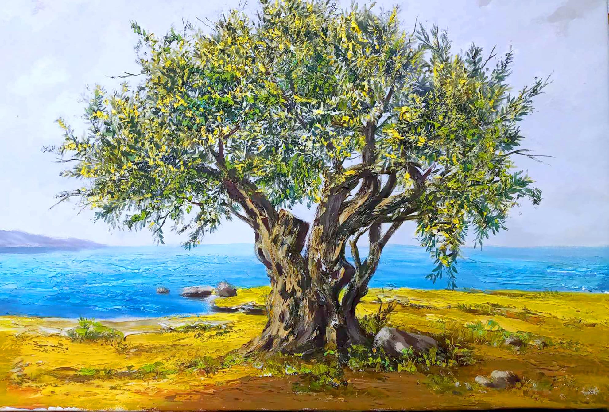 An Original Artwork, an Olive Tree, Embossed Surface, Summer Edition ...