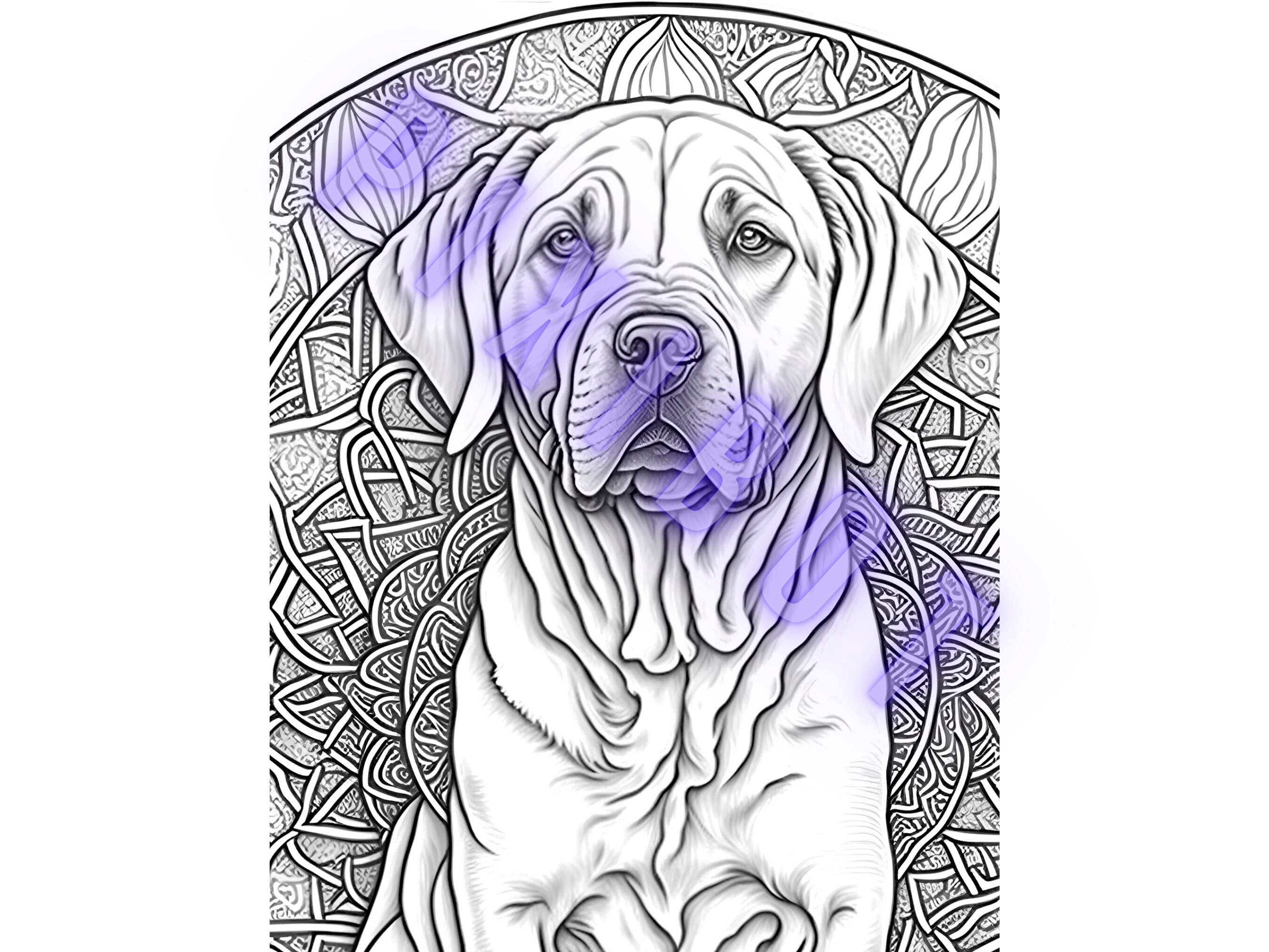 Dogs Coloring Book, Mandala Designs, Relaxing Activity, Coloring Pages ...