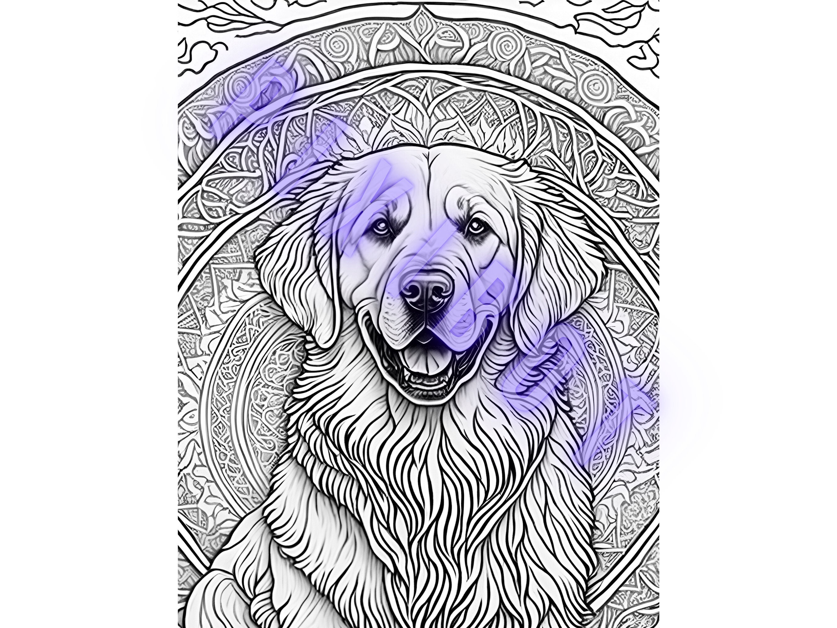 Dogs Coloring Book, Mandala Designs, Relaxing Activity, Coloring Pages ...