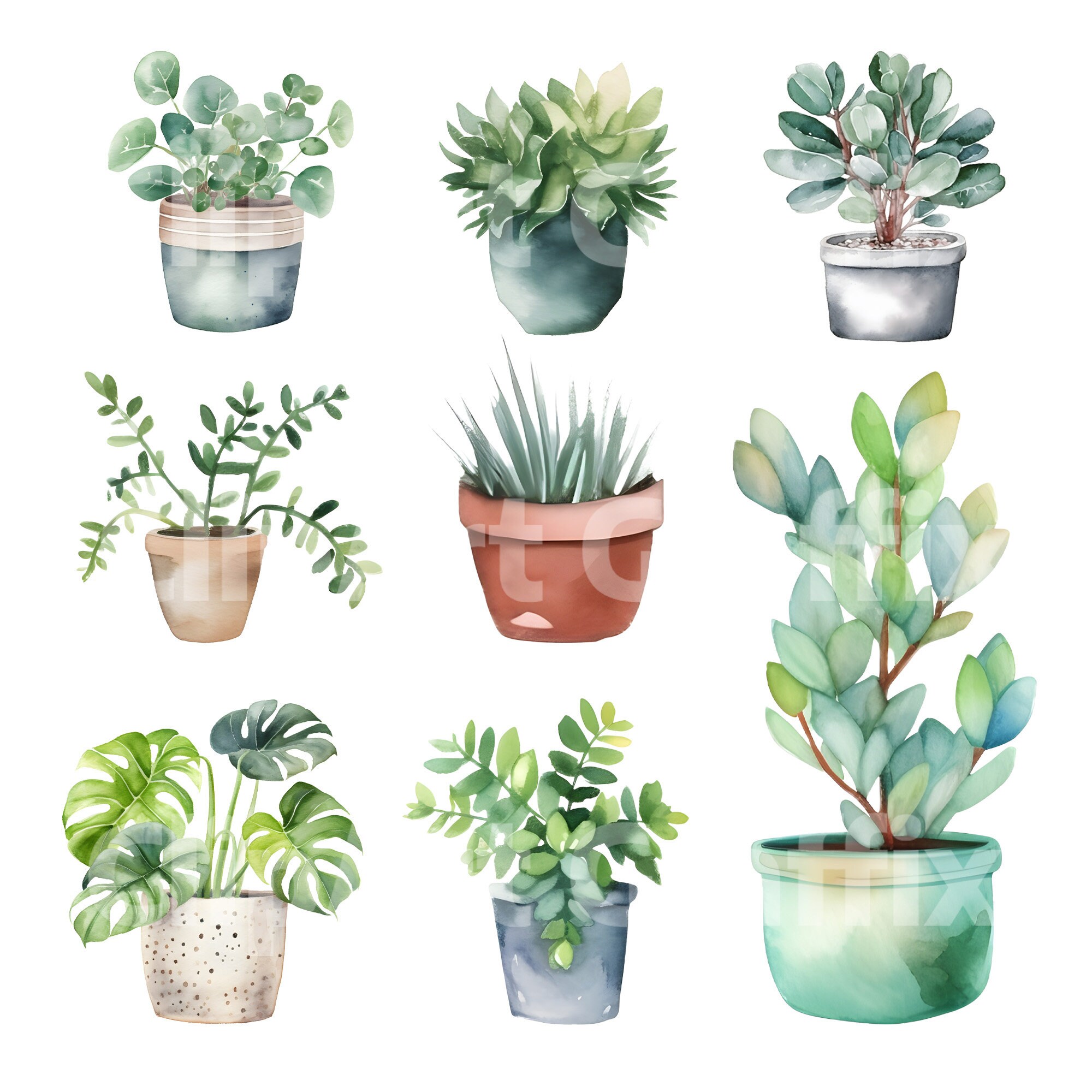 Watercolor Potted Plant Clipart Bundle Succulent Clipart Indoor Plants ...
