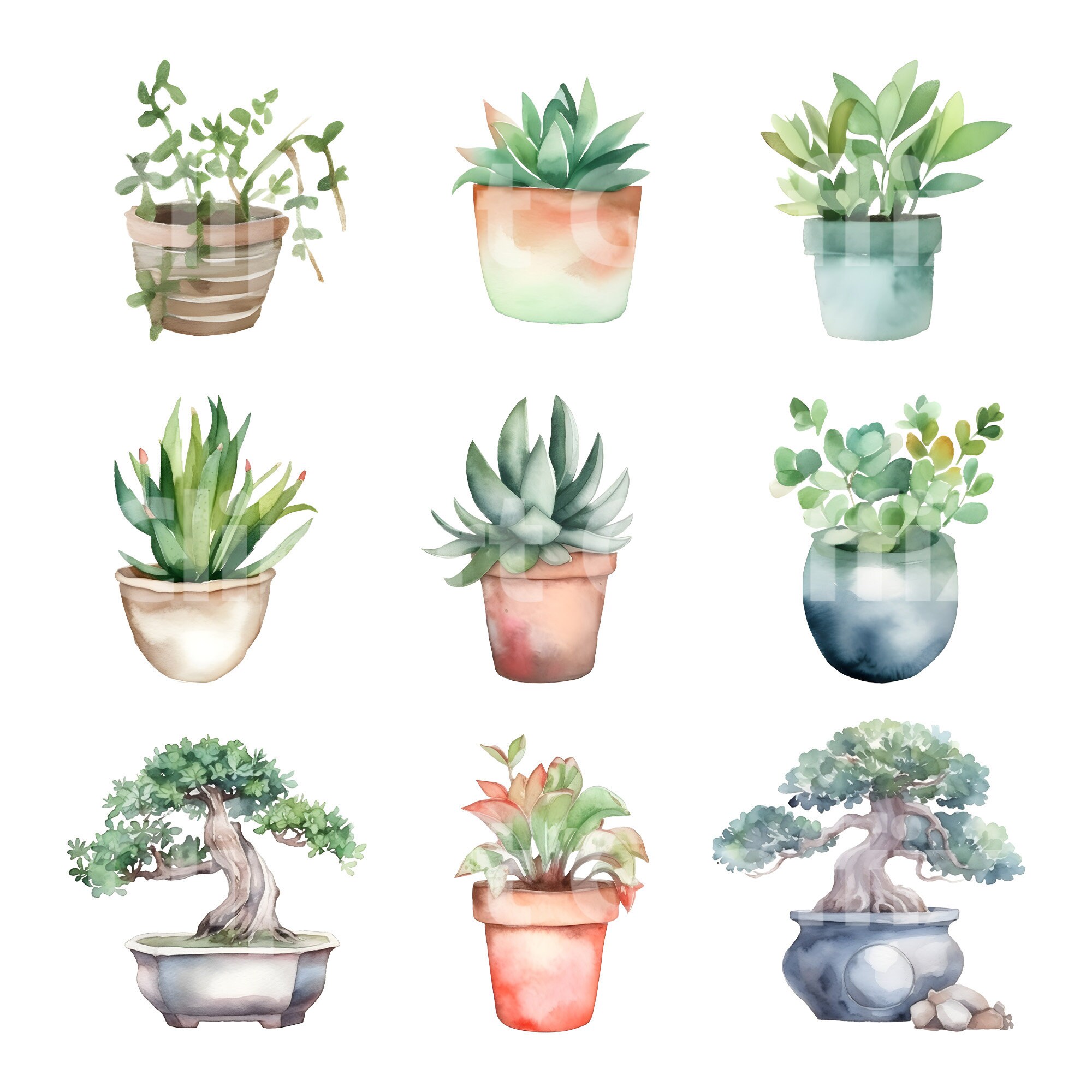 Watercolor Potted Plant Clipart Bundle Succulent Clipart Indoor Plants ...