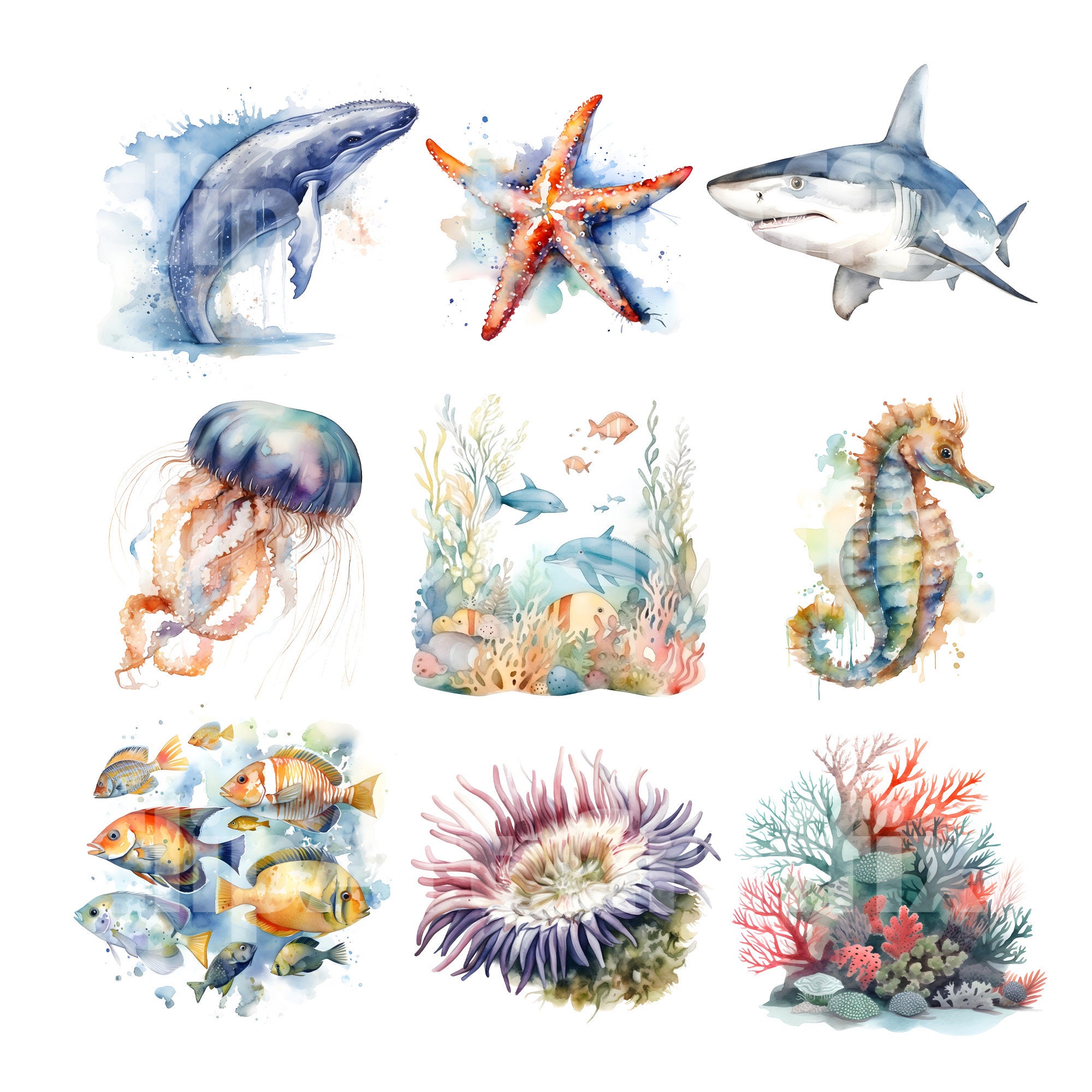 Watercolor Sea Creatures Clipart Bundle Watercolor Ocean Clip Art Sea ...