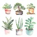 Watercolor Potted Plant Clipart Bundle Succulent Clipart Indoor Plants ...