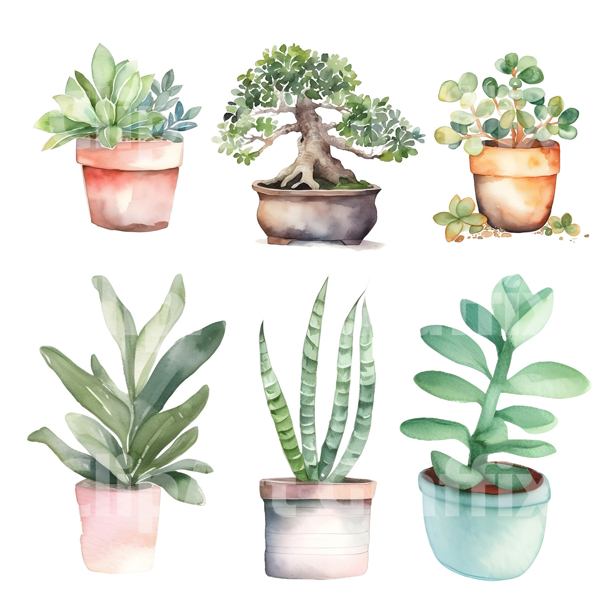 Watercolor Potted Plant Clipart Bundle Succulent Clipart Indoor Plants ...