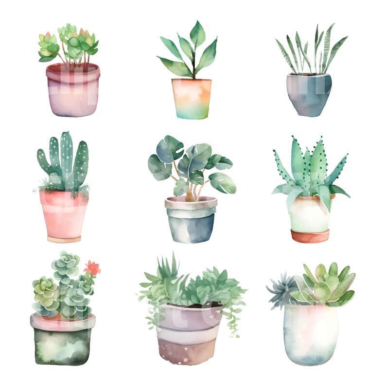 Watercolor Potted Plant Clipart Bundle Succulent Clipart Indoor Plants ...