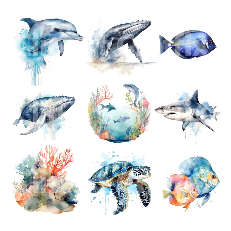 Watercolor Sea Creatures Clipart Bundle Watercolor Ocean Clip Art Sea ...