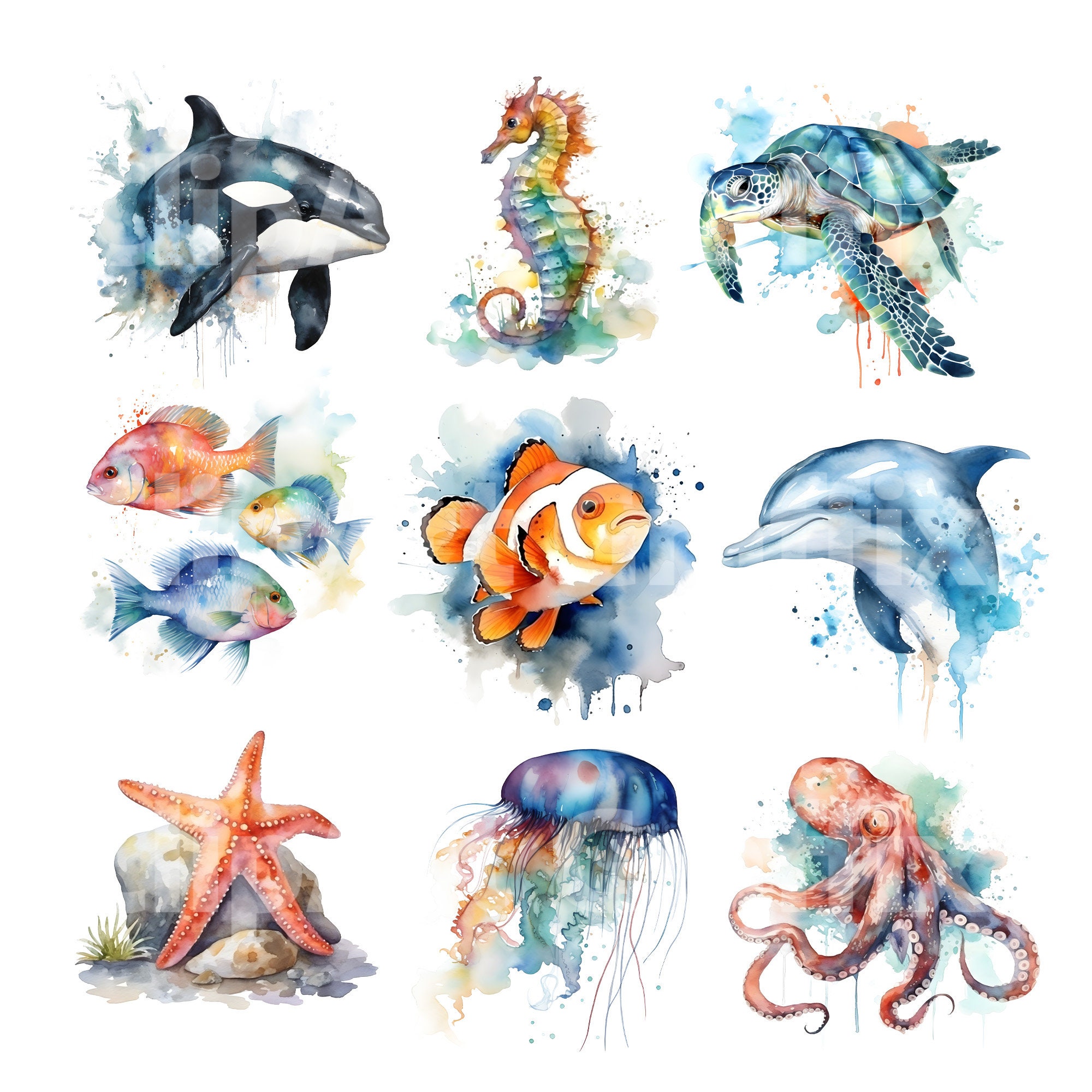 Watercolor Sea Creatures Clipart Bundle Watercolor Ocean Clip Art Sea ...