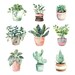 Watercolor Potted Plant Clipart Bundle Succulent Clipart Indoor Plants ...