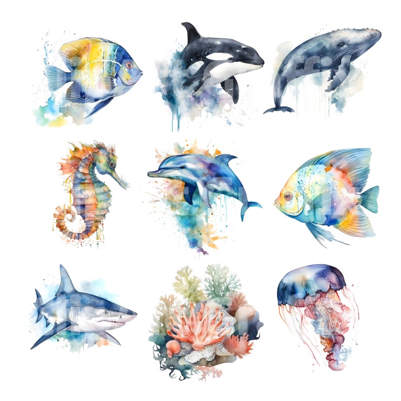 Watercolor Sea Creatures Clipart Bundle Watercolor Ocean Clip Art Sea ...