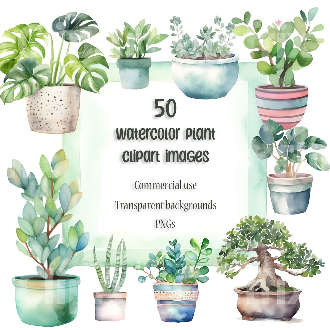 Watercolor Potted Plant Clipart Bundle Succulent Clipart Indoor Plants ...