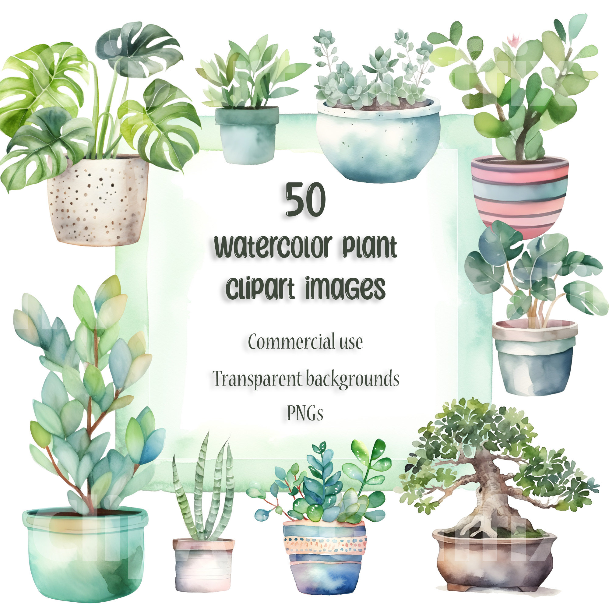 Watercolor Potted Plant Clipart Bundle Succulent Clipart Indoor Plants ...