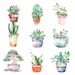 Watercolor Potted Plant Clipart Bundle Succulent Clipart Indoor Plants ...