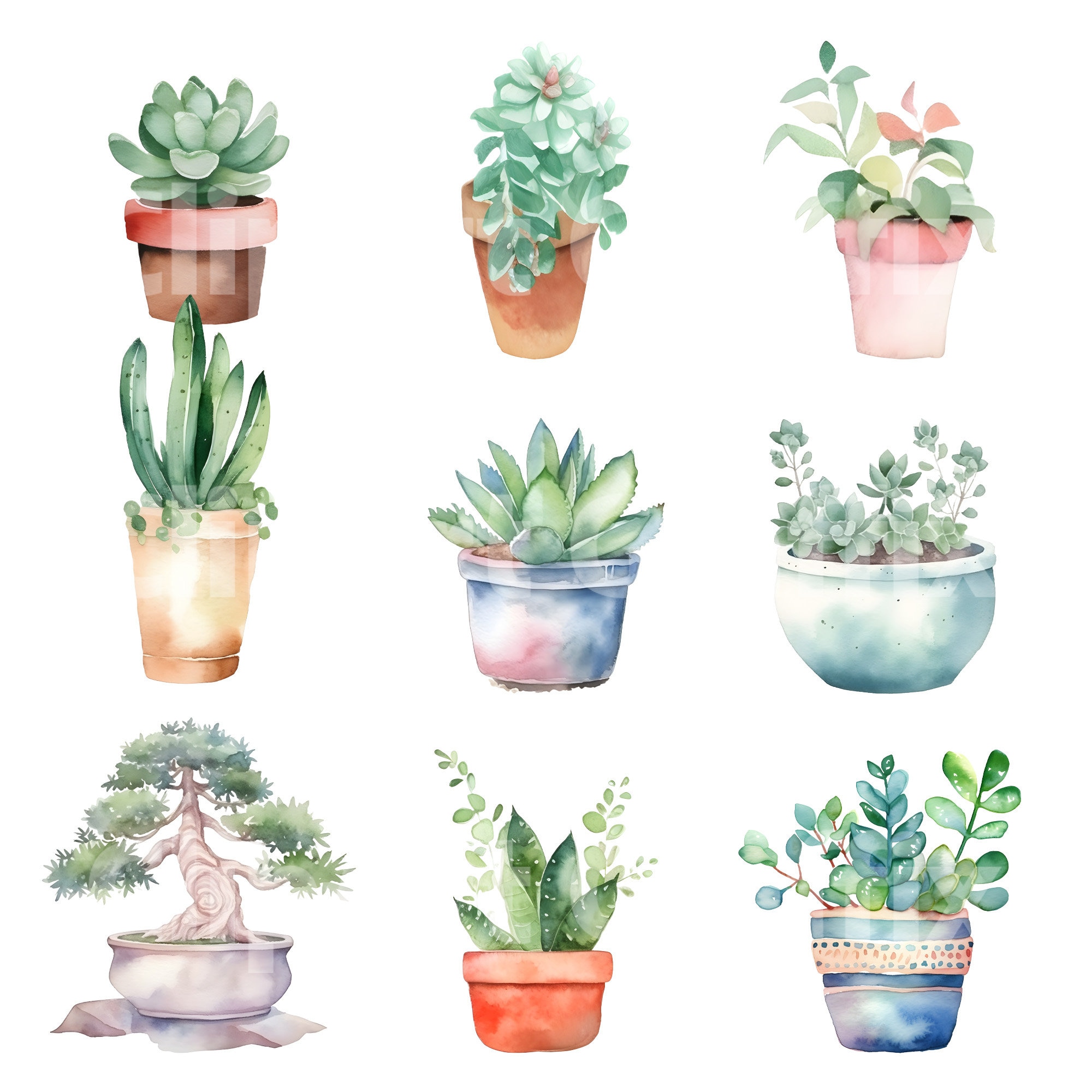 Watercolor Potted Plant Clipart Bundle Succulent Clipart Indoor Plants ...
