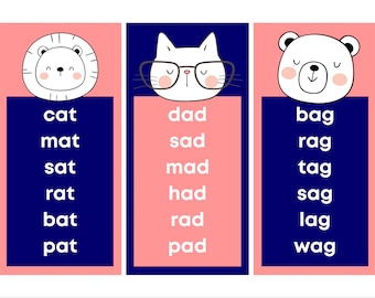 CVC Words Phoneme Frame Cards - Etsy