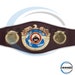 WBO Belt Replica World Boxing Organization Champion Adult Size WBA WBC ...
