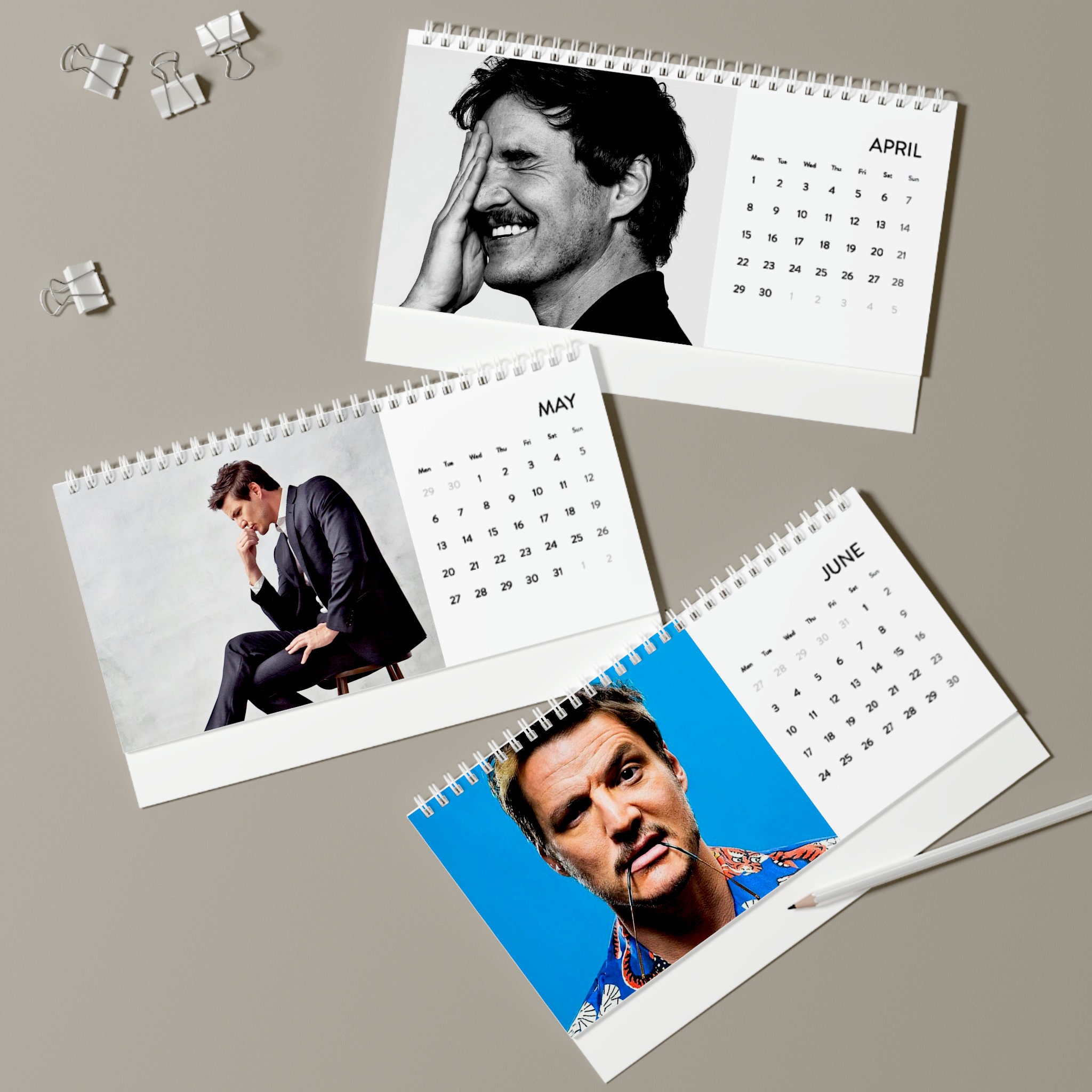 Pedro Pascal Desk Calendar (2025 Grid) - Etsy