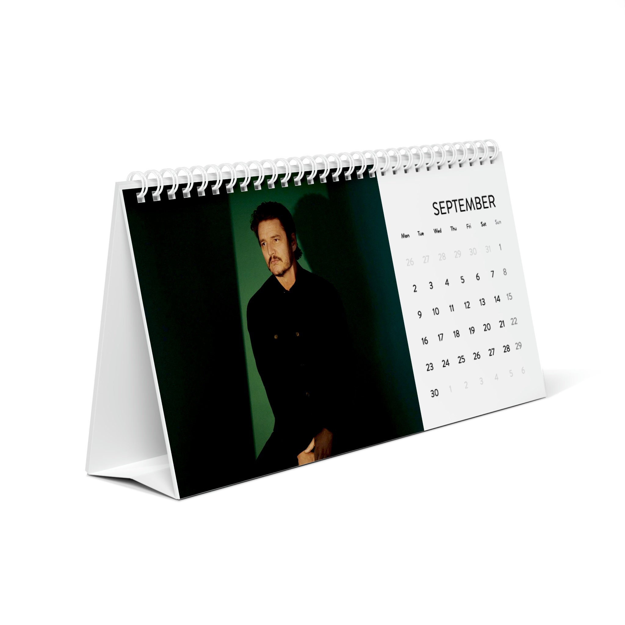 Pedro Pascal Desk Calendar (2025 Grid) - Etsy