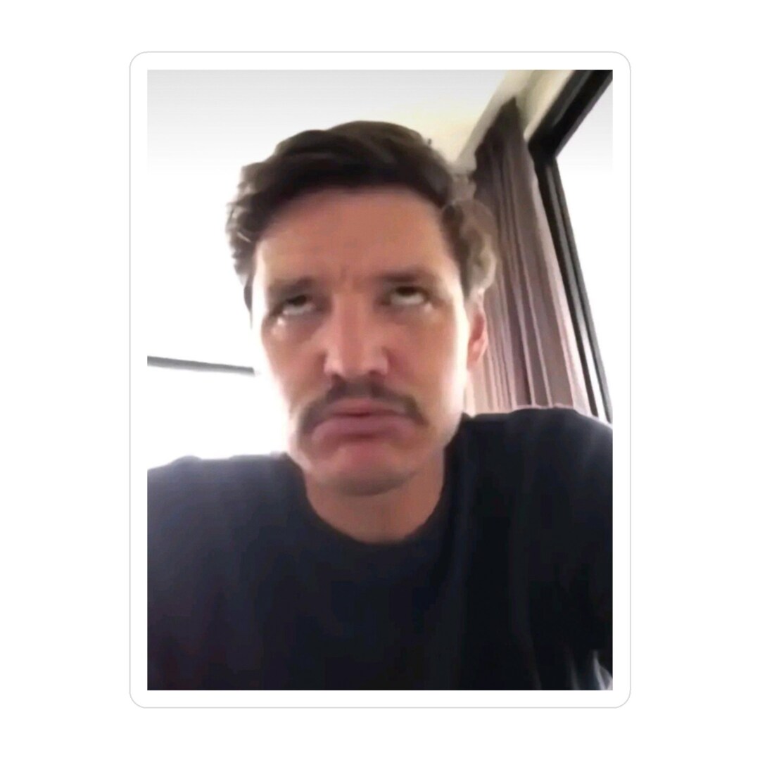 Pedro Pascal Kiss-cut Vinyl Decals - Etsy