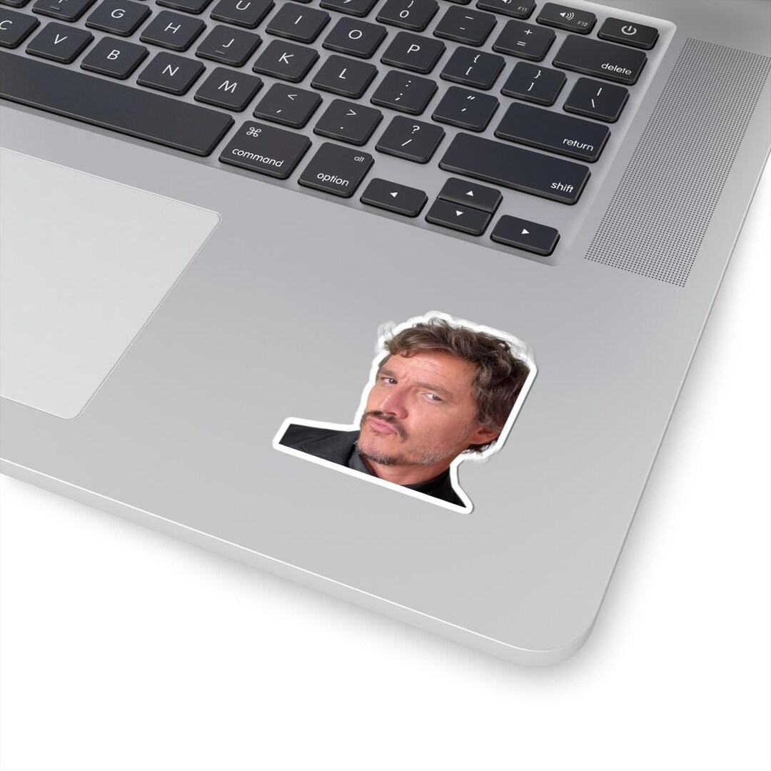 Pedro Pascal Kiss-cut Sticker - Etsy