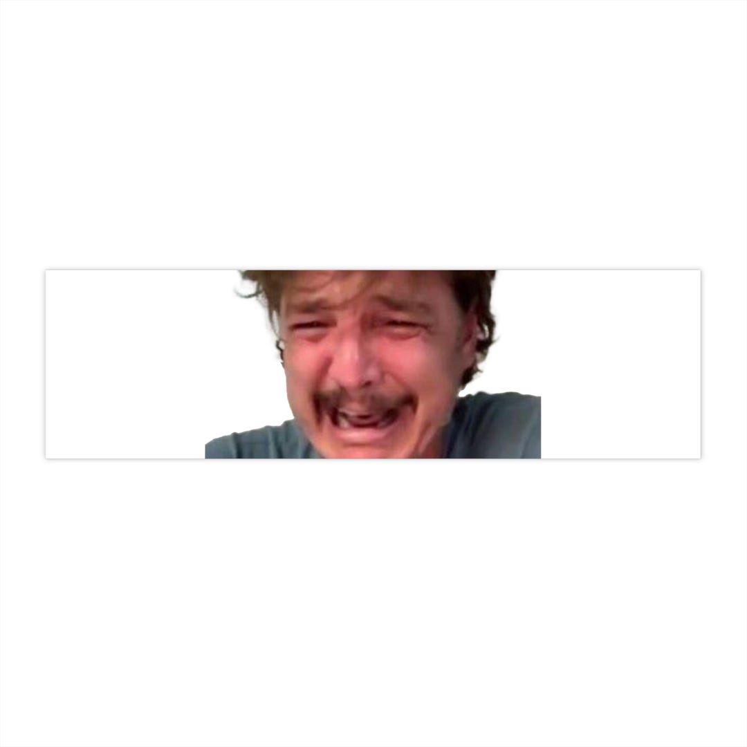 Funny Pedro Pascal Meme Bumper Sticker: Water-resistant Pop Culture ...