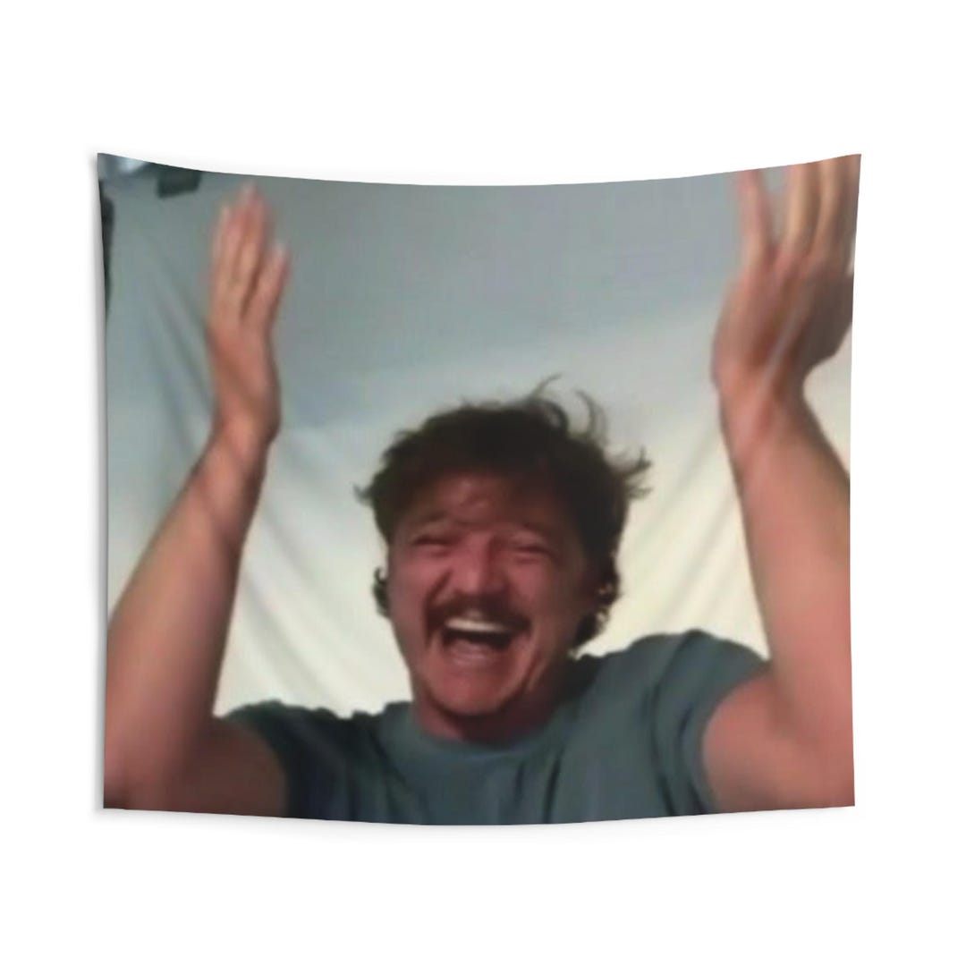 Pedro Pascal Funny Face Meme Wall Tapestry - Indoor Wall Hanging Art ...