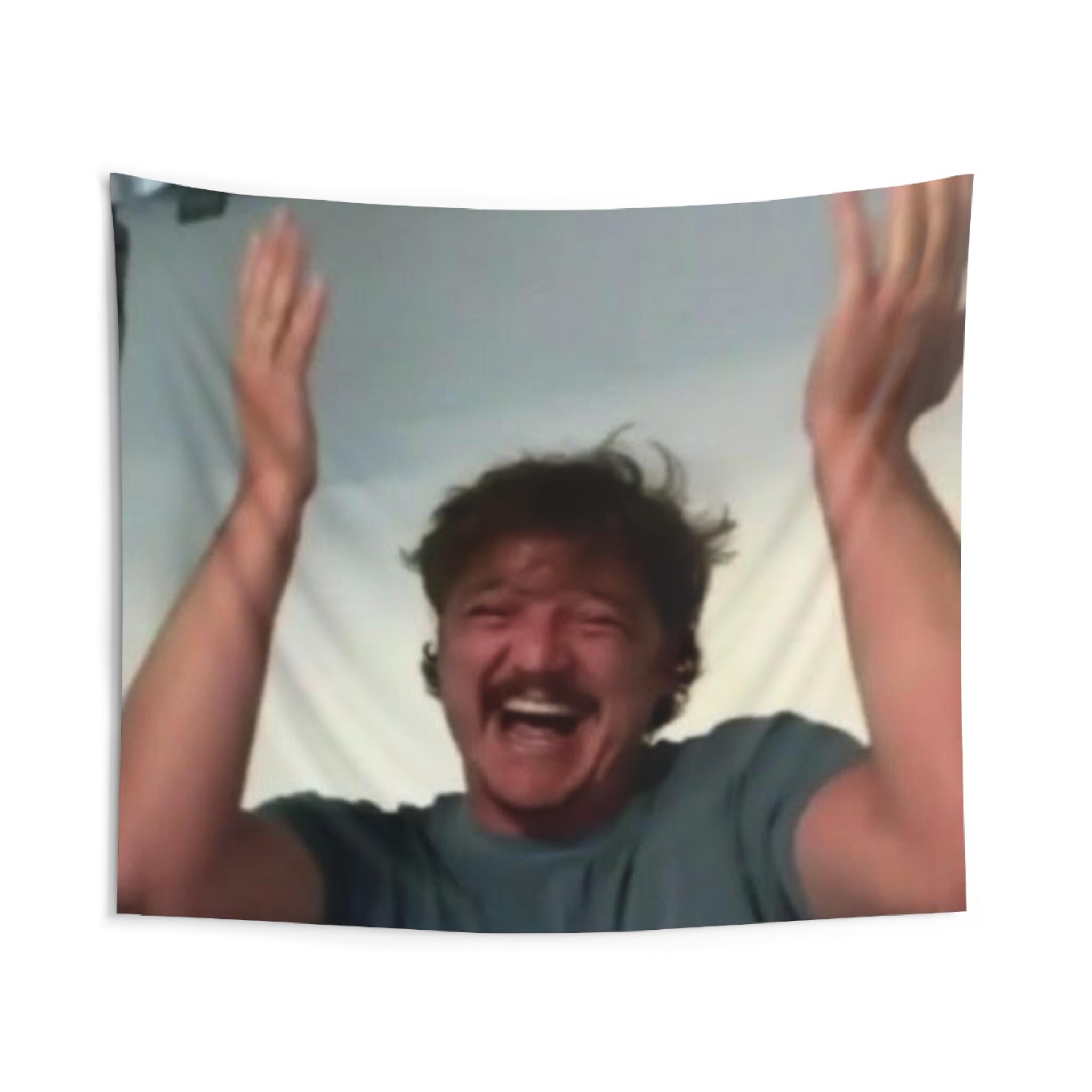 Pedro Pascal Funny Face Meme Wall Tapestry - Indoor Wall Hanging Art ...
