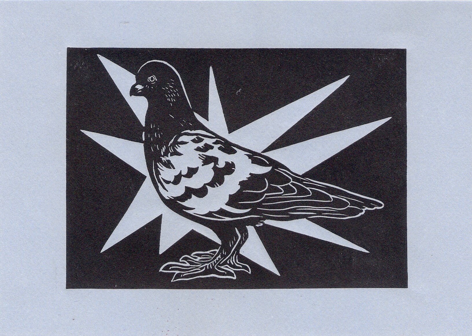 Pigeon Linocut, Handprinted Illustration - Etsy