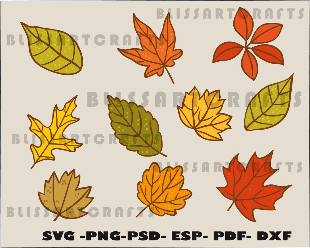 Fall Leaves Svg Fall SVG Fall Leaf Svg Bundle Fall PNG - Etsy
