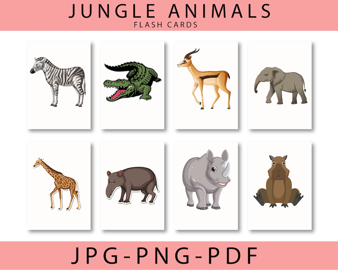 Jungle Animals Flash Cards: Montessori Preschool Learning (digital ...
