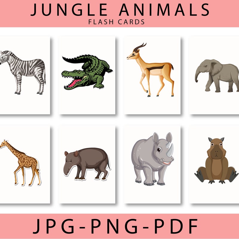Animal Cards - Etsy UK