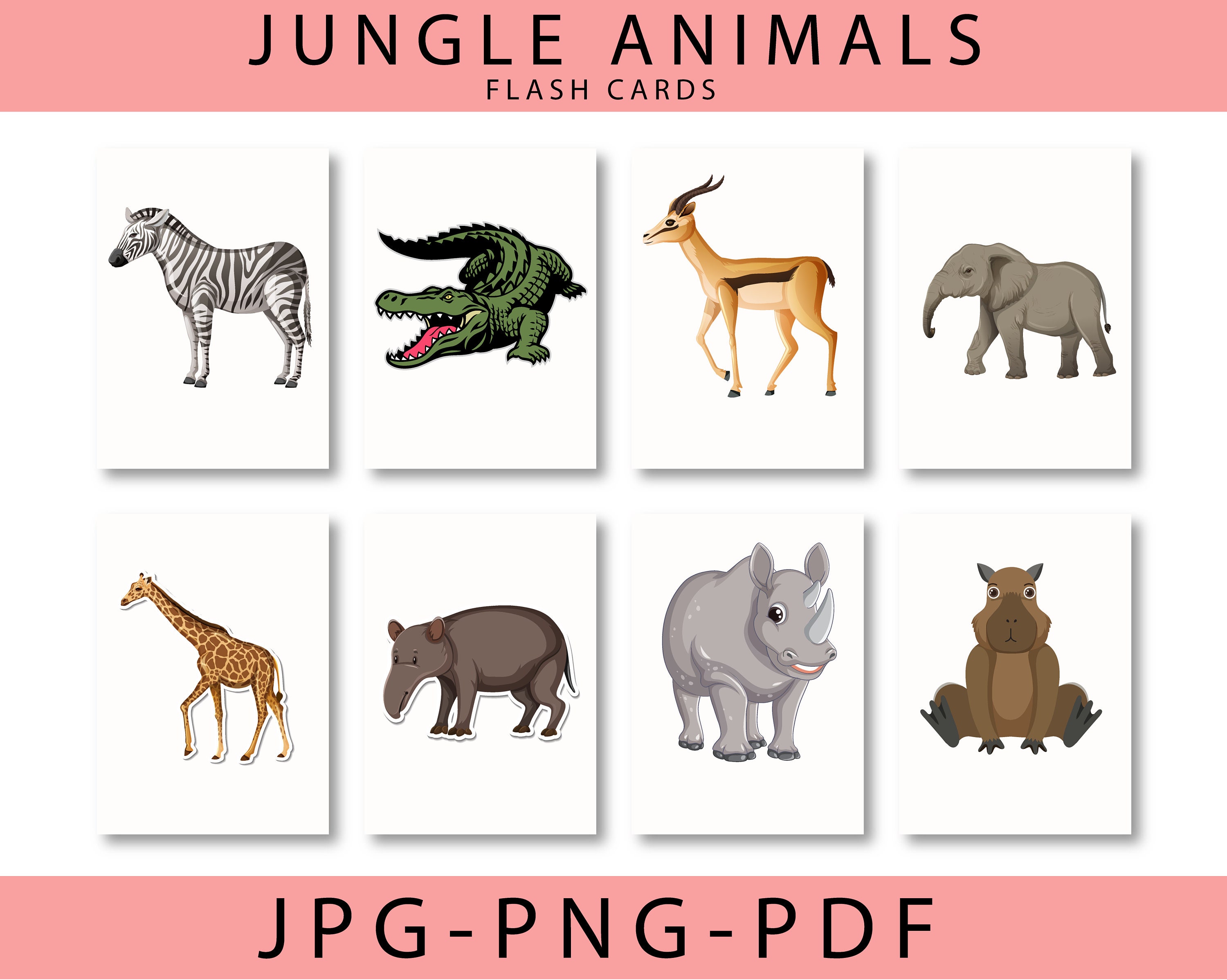 16 JUNGLE ANIMALS Flash Cards, Montessori Cards, Educational Cards ...