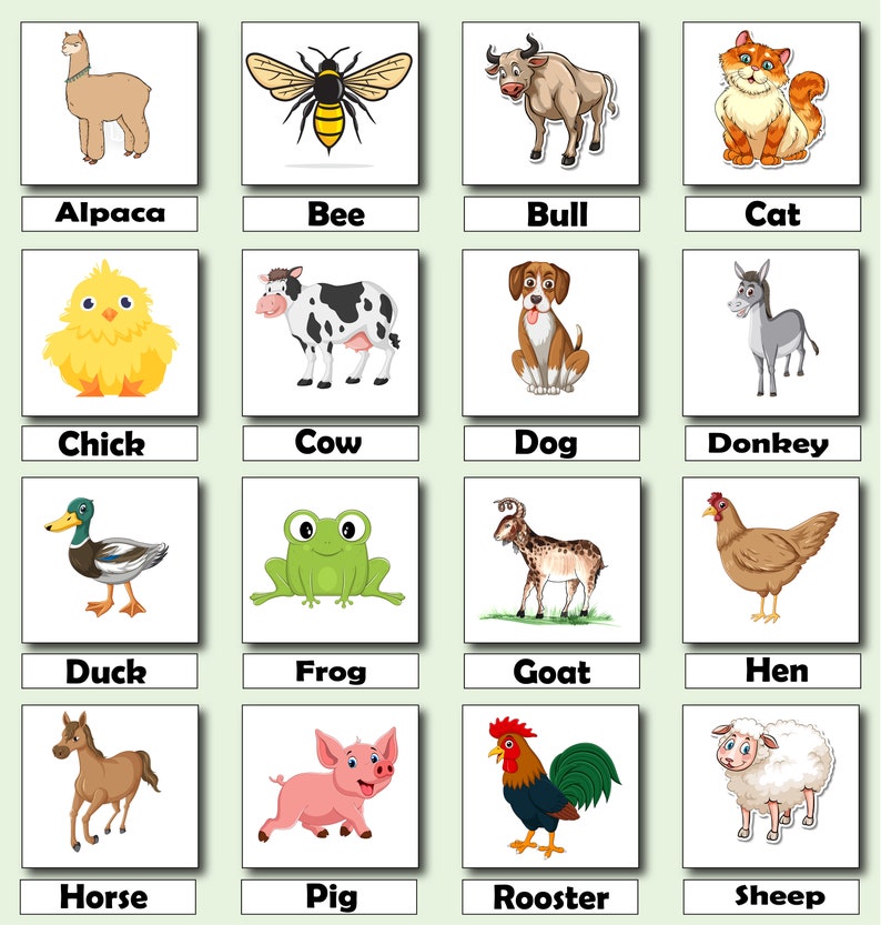 16 Farm Animals Flash Cards, Montessori Flashcards, Educational Cards ...