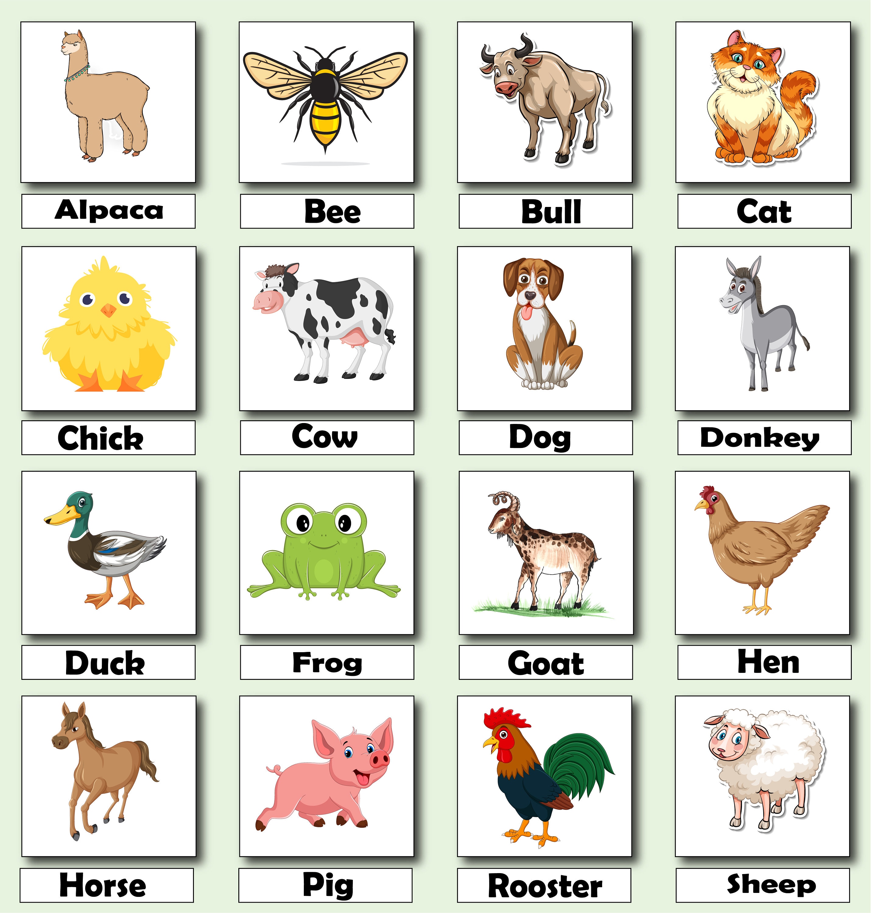 16 Farm Animals Flash Cards, Montessori Flashcards, Educational Cards ...