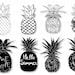 Pineapple SVG Bundle, Pineapple PNG Bundle, Pineapple Clipart, Fruit ...