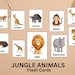 16 JUNGLE ANIMALS Flash Cards, Montessori Cards, Educational Cards ...